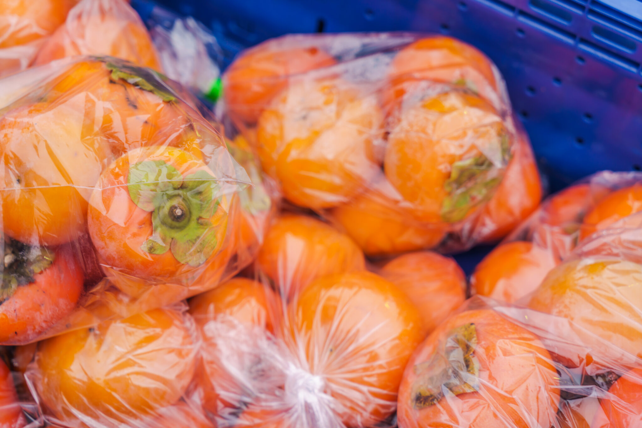 Shipping Perishable Goods from Japan to the Philippines: The Crucial ...